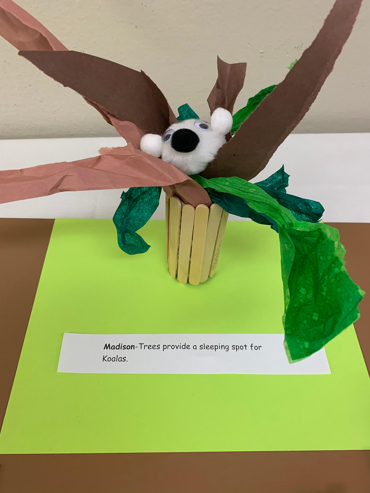 Project Based Learning in Primary School - Grace School